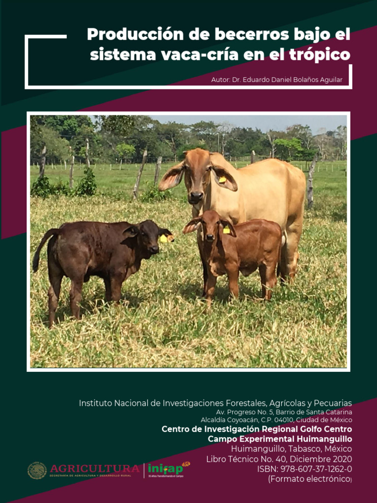 Producción de Becerros Bajo El Sistema Vaca Cria en El Tropico | PDF | Vacas | Pasto