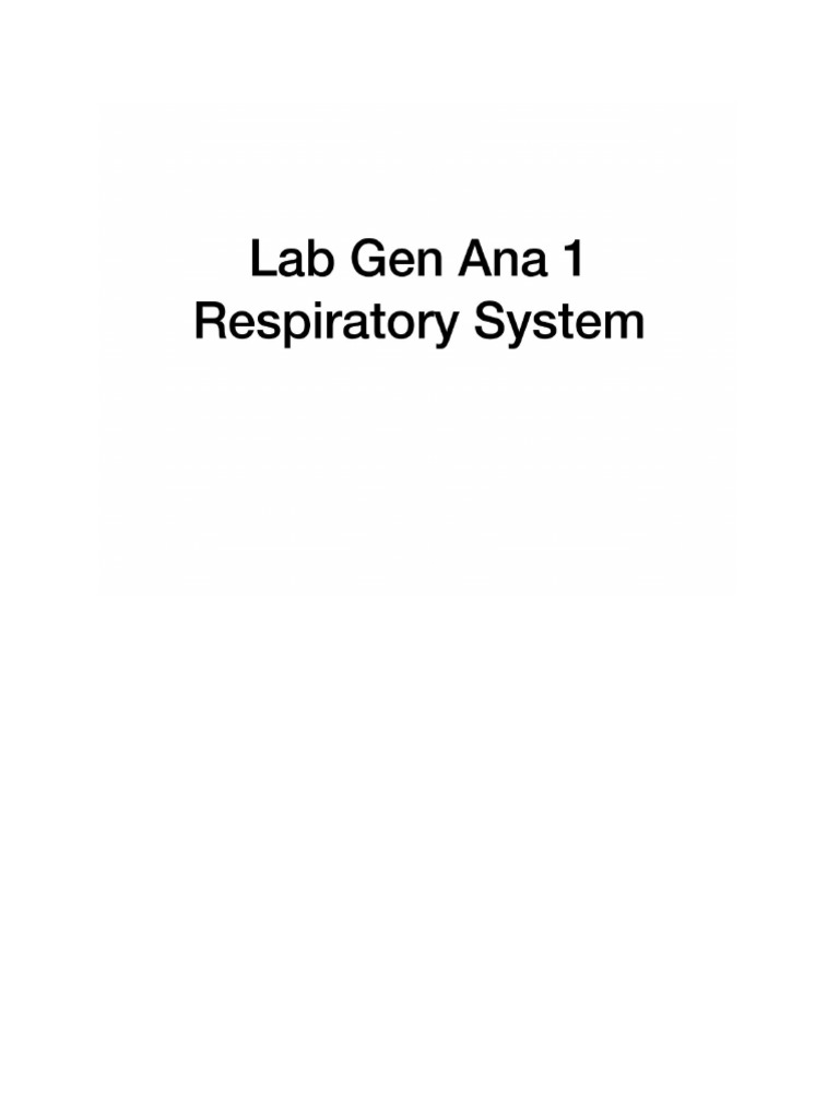 Lab Gen Ana 1 Respiratory | PDF