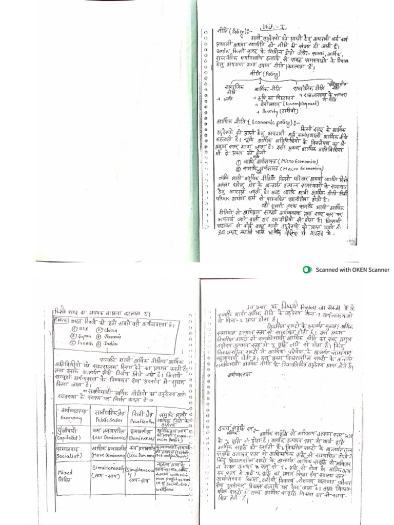 NOTES BY HARDIK INDIA' S ECONOMIC POLICE-pages | PDF