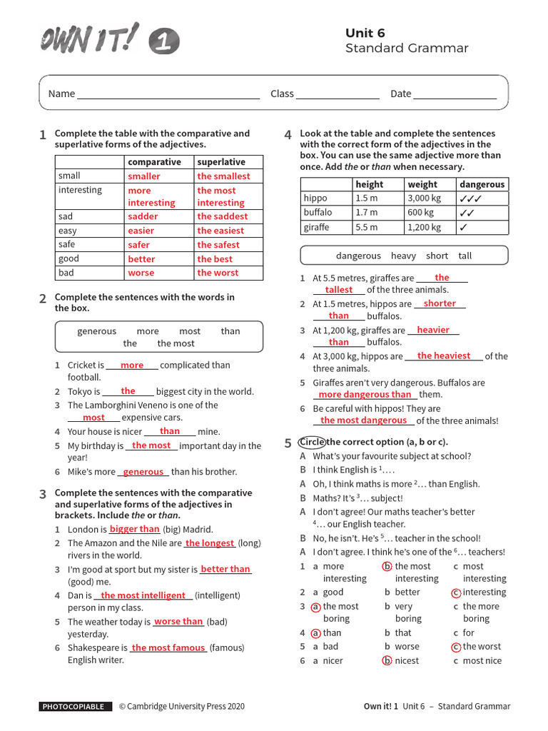 Standard Grammar Unit6 With Answers | PDF | Grammar | Linguistics
