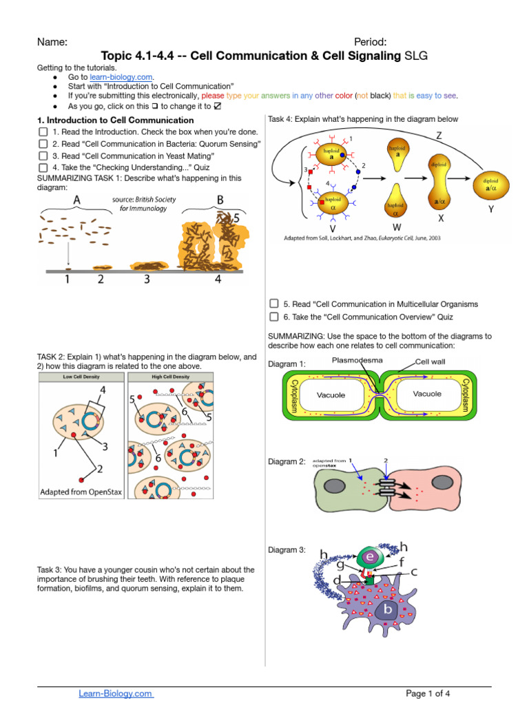 4.1-4.4 Cell Communication, Cell Signaling SLG (AP Bio V2.0) | PDF ...