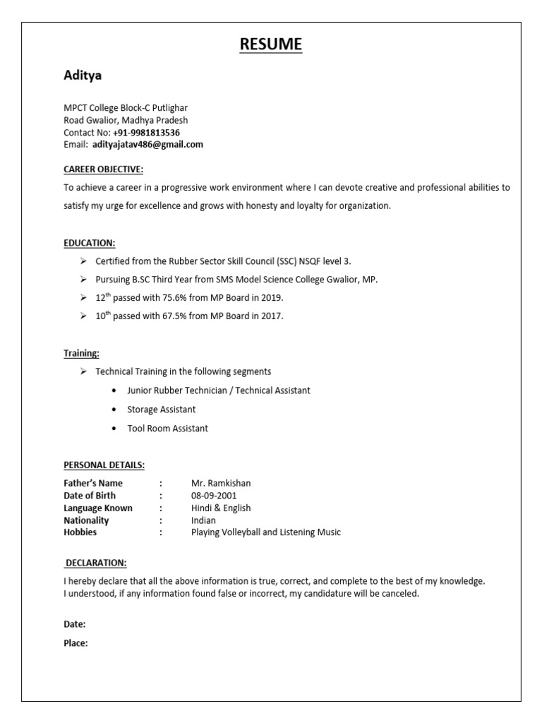 Aditya Resume | PDF