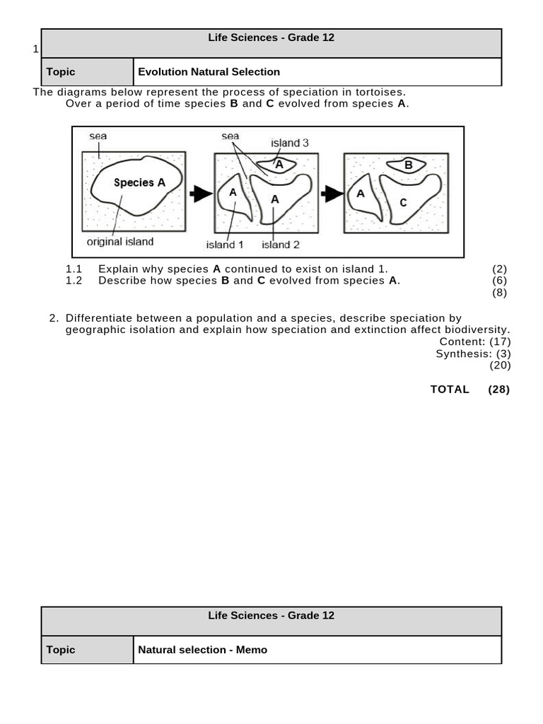 Evolution Natural Selection - 7 Speciation | PDF