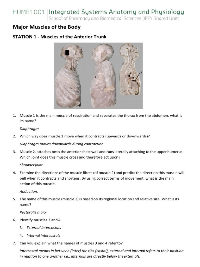 Laboratory Notes Module 3 | PDF