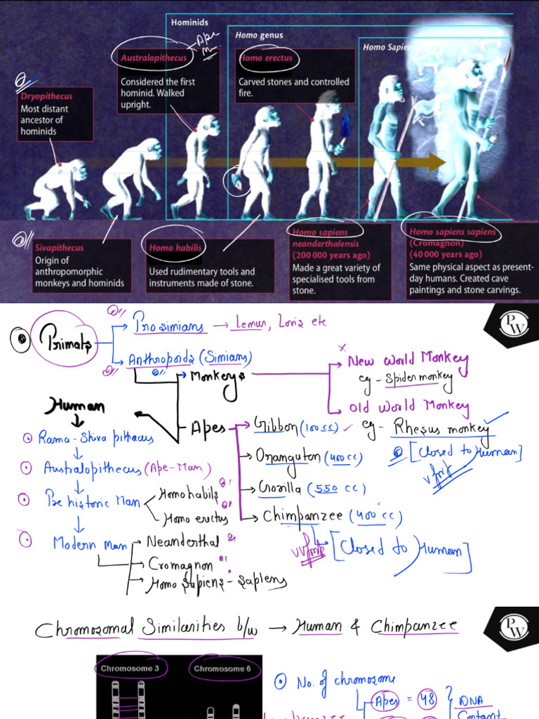 WA0034. Invert Split | PDF