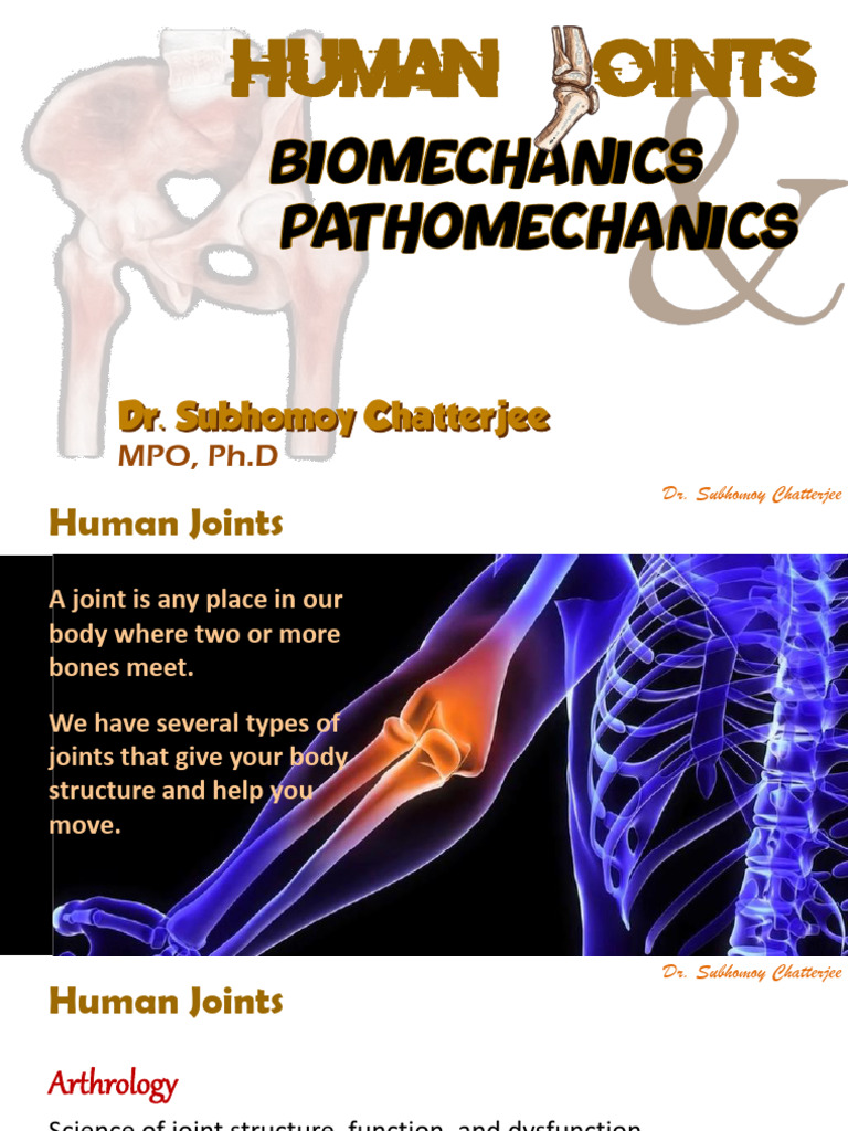 Understanding Human Joint Types and Functions | PDF | Anatomical Terms ...