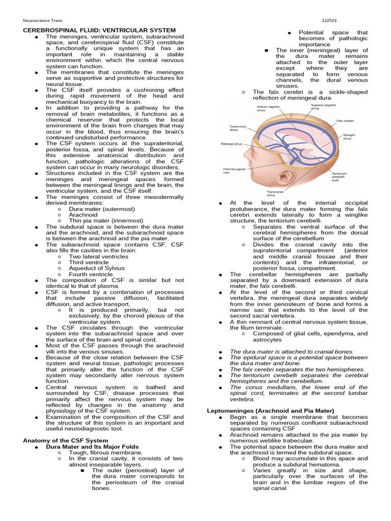 Neurosci Trans Ventricular System 112523 | PDF | Cerebrospinal Fluid