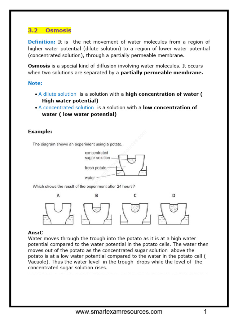 Effects of Osmosis on Plant Cells | PDF | Osmosis | Cell Biology