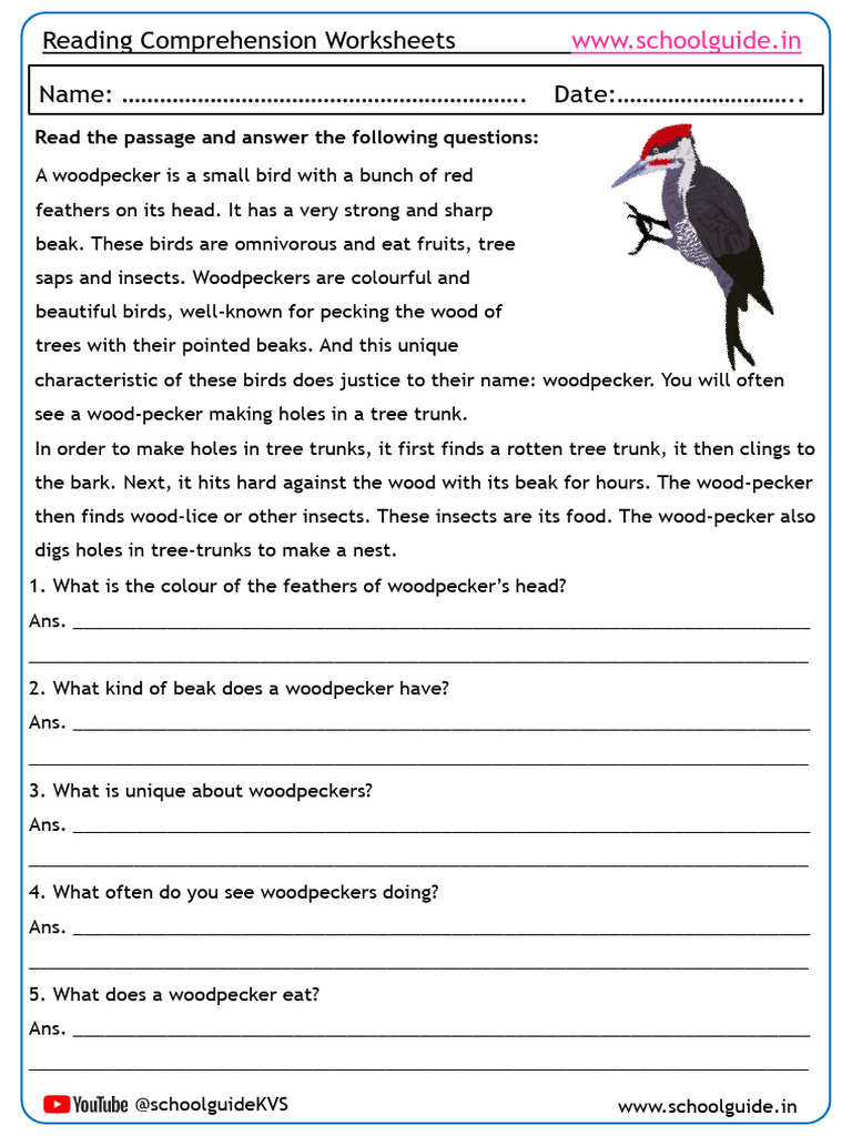 Woodpecker Reading Comprehension Worksheet | PDF