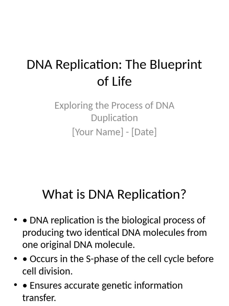 DNA Replication Process Explained | PDF