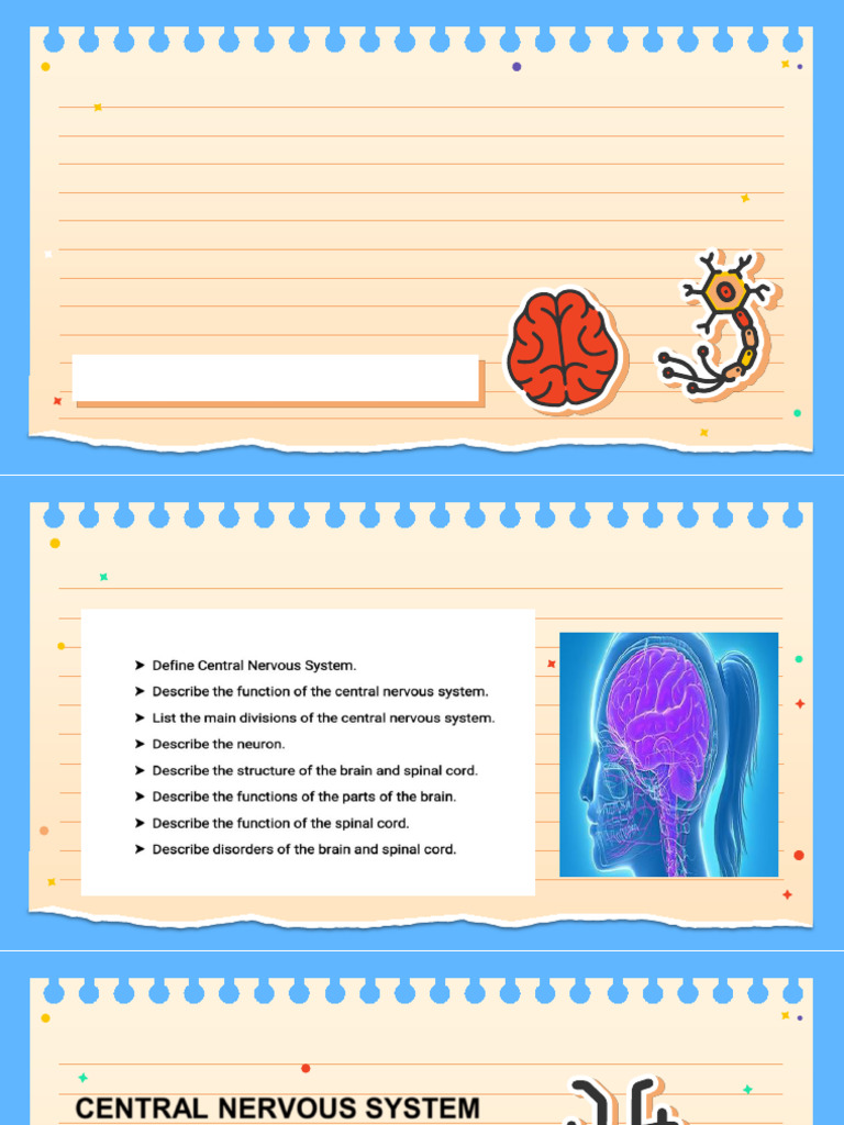 Central Nervous System Overview | PDF | Neuron | Cerebrum