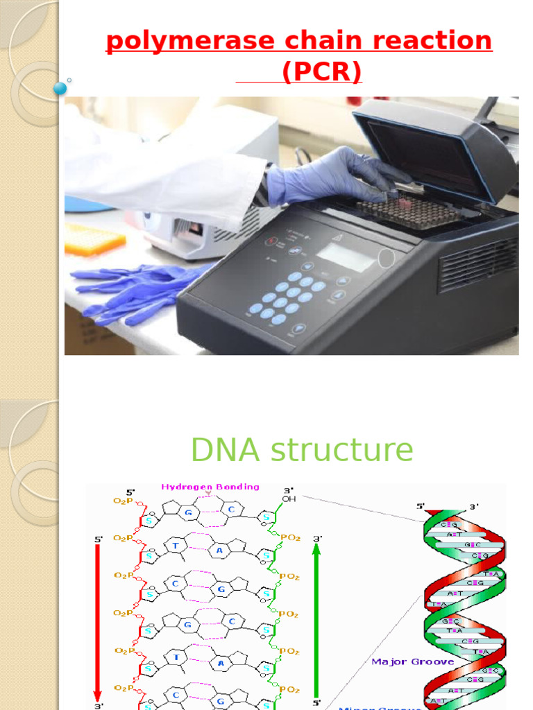 Polymerase Chain Reaction (PCR) | PDF | Polymerase Chain Reaction | Primer (Molecular Biology)