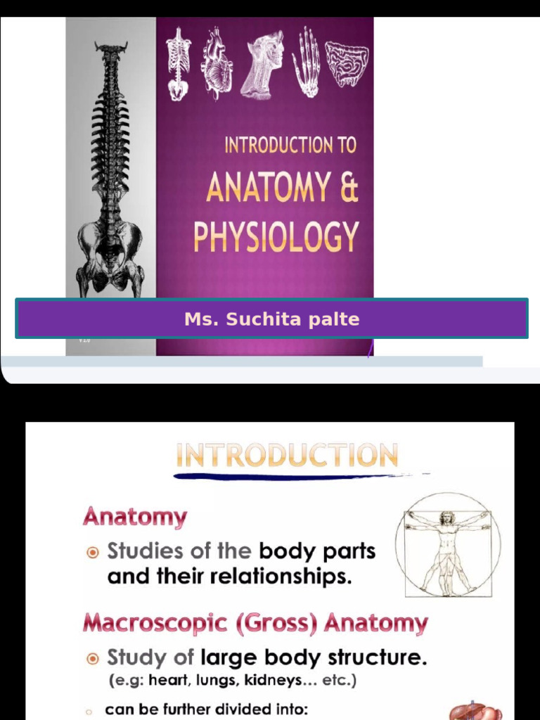 ana physio ppt -1 | PDF