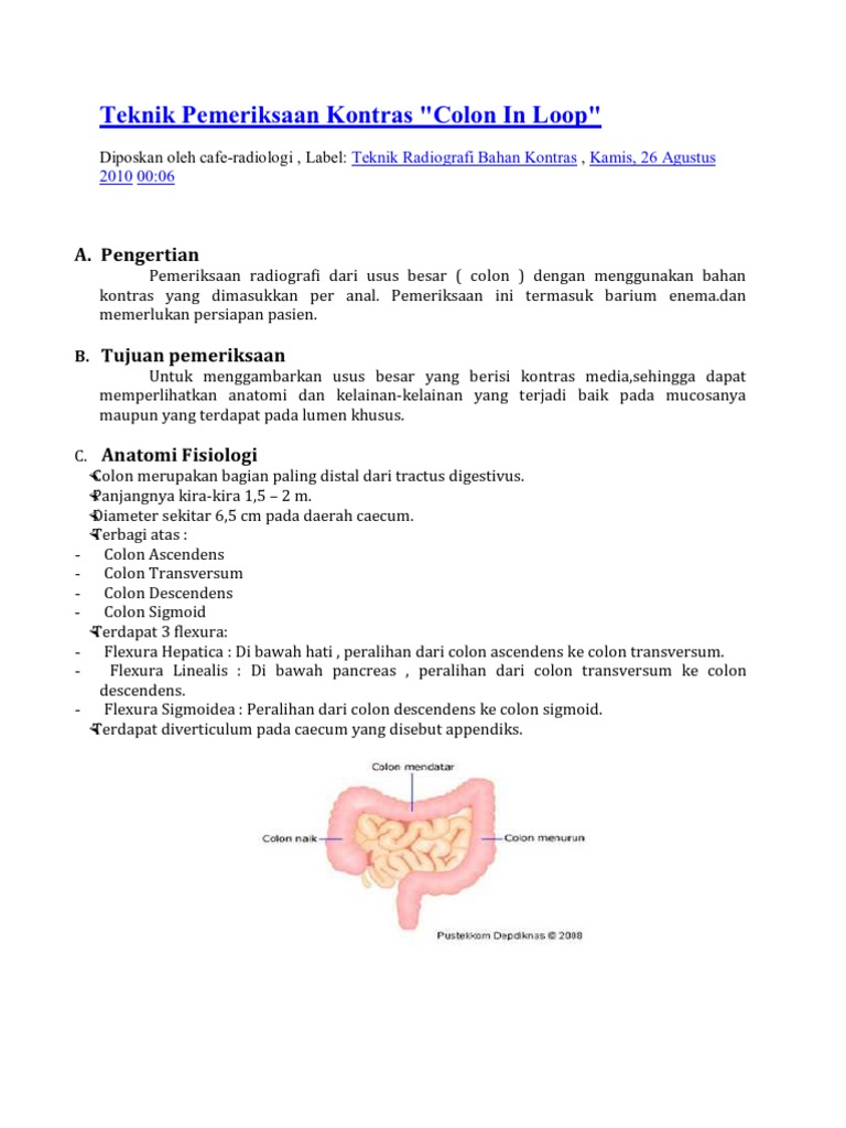 Colon in Loop | PDF