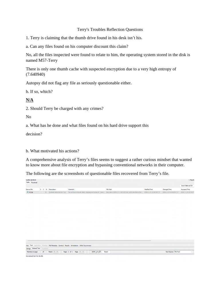 Terry's Troubles Reflection Questions | PDF