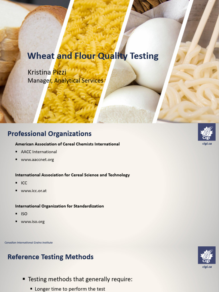 Wheat and Flour Quality Testing Cigi | PDF | Gluten | Flour