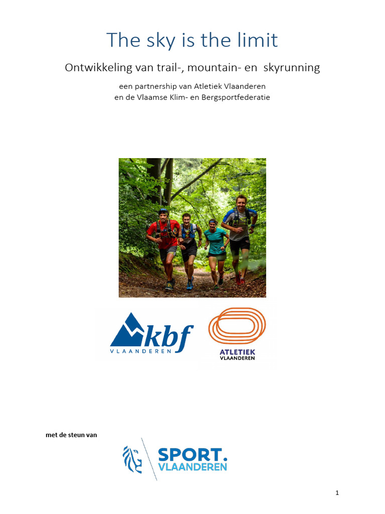 Info Project The Sky Is The Limit | PDF