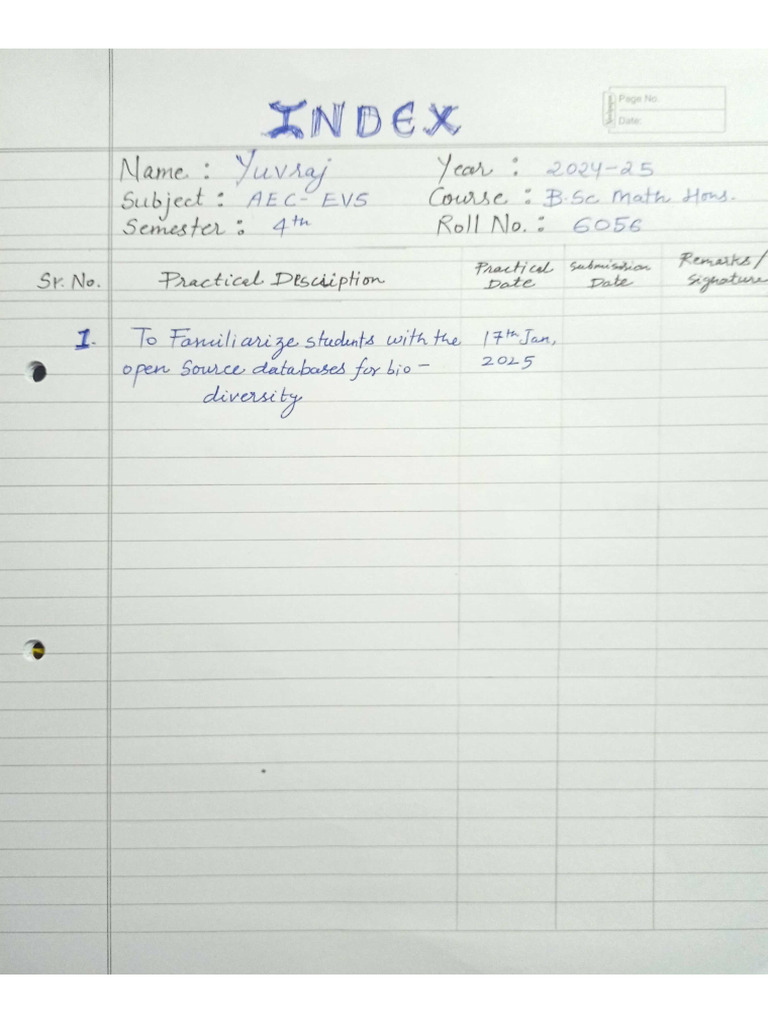 Practical 1st EVS-II | PDF