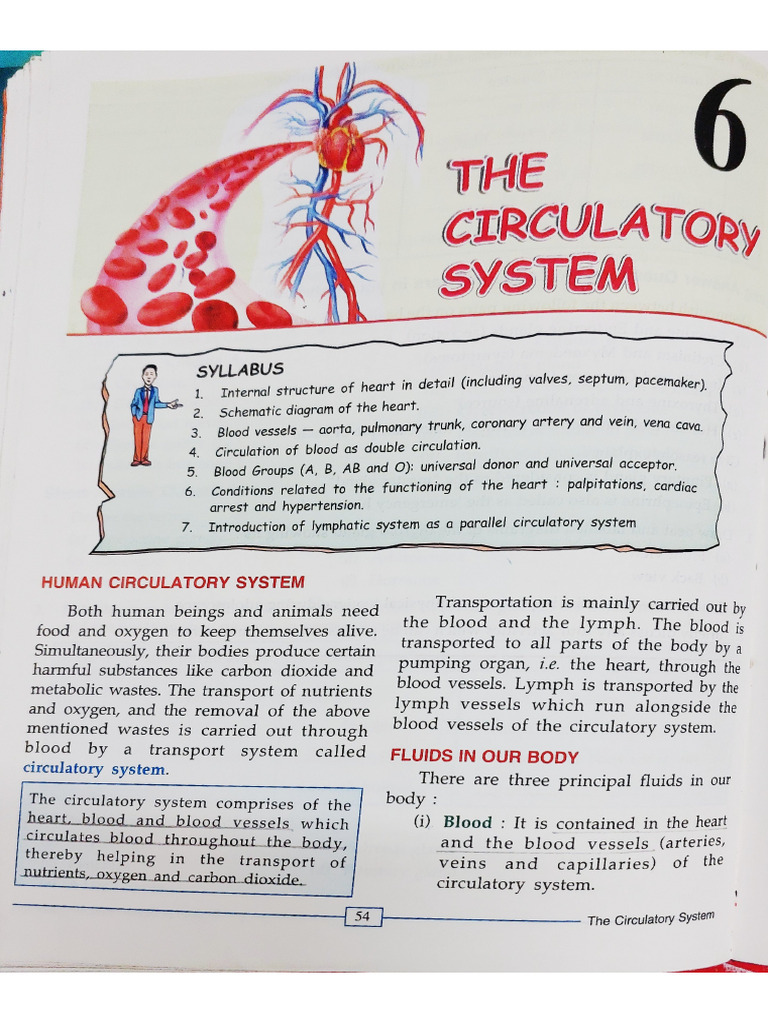 Circulatory | PDF