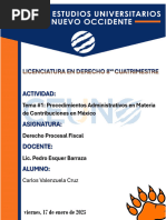 Proceso de Compulsa SAT: Guía Completa | PDF
