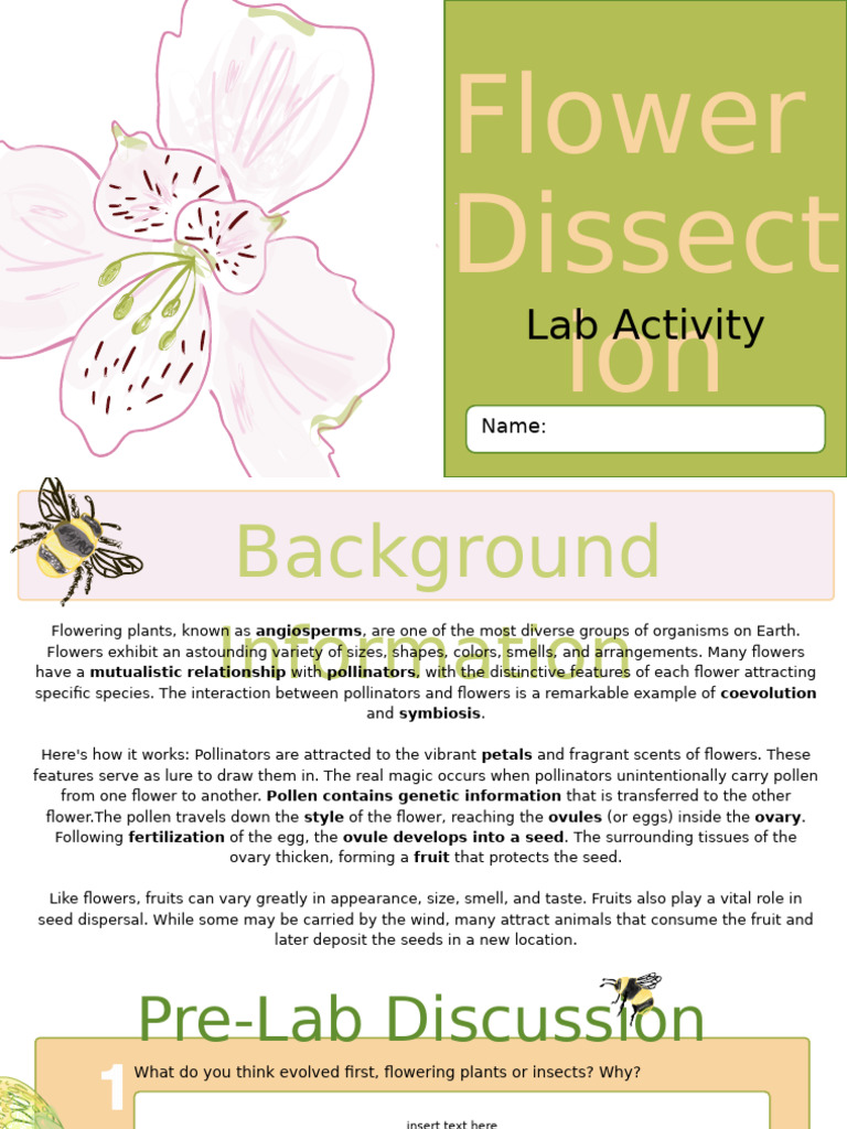 Flower Dissection Presentation in Colorful Illustrative Design | PDF ...