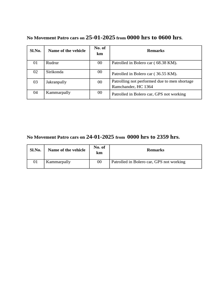 Patrol Report for Jan 2025 | PDF