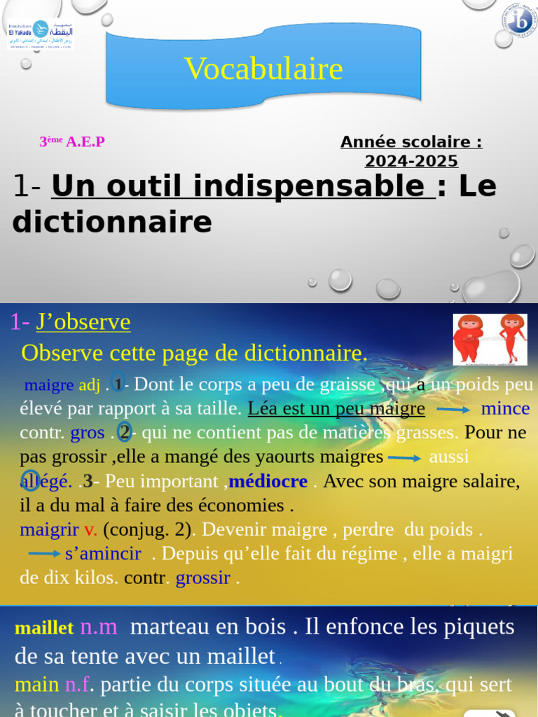 Dinar32_1727611718206_Leçon Vocabulaire _ Le Dictionnaire | PDF ...