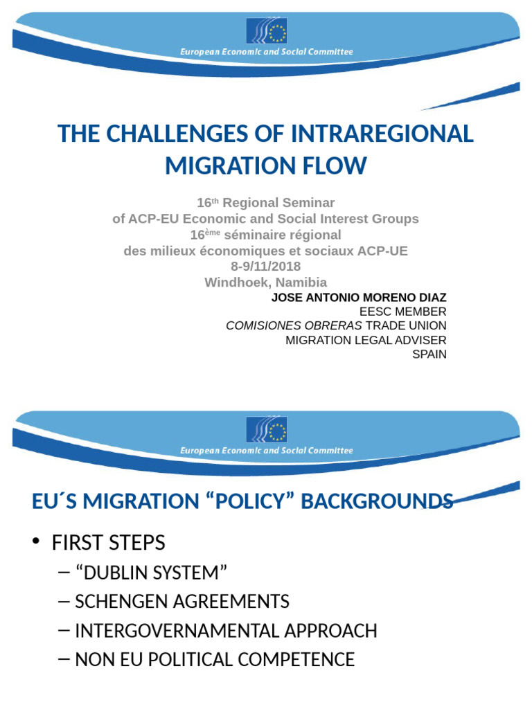 The Challenges of Intraregional Migration Flow | PDF | Human Migration ...
