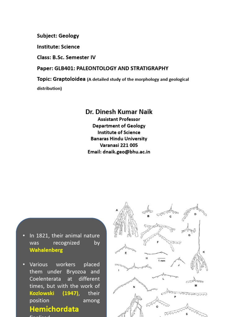 Graptoloidea: Morphology & Distribution | PDF