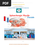 Anatomie des Régions Faciales | PDF | Tête et cou chez l'humain ...