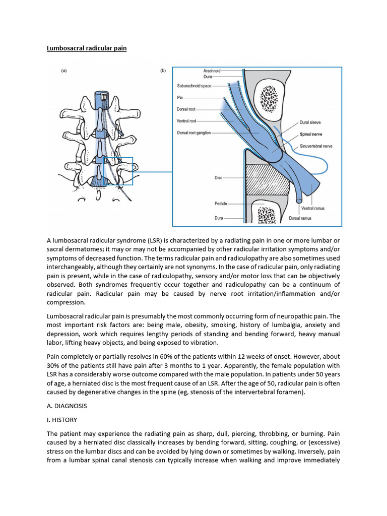 Lumbosacral Radicular Pain | PDF | Pain | Back Pain