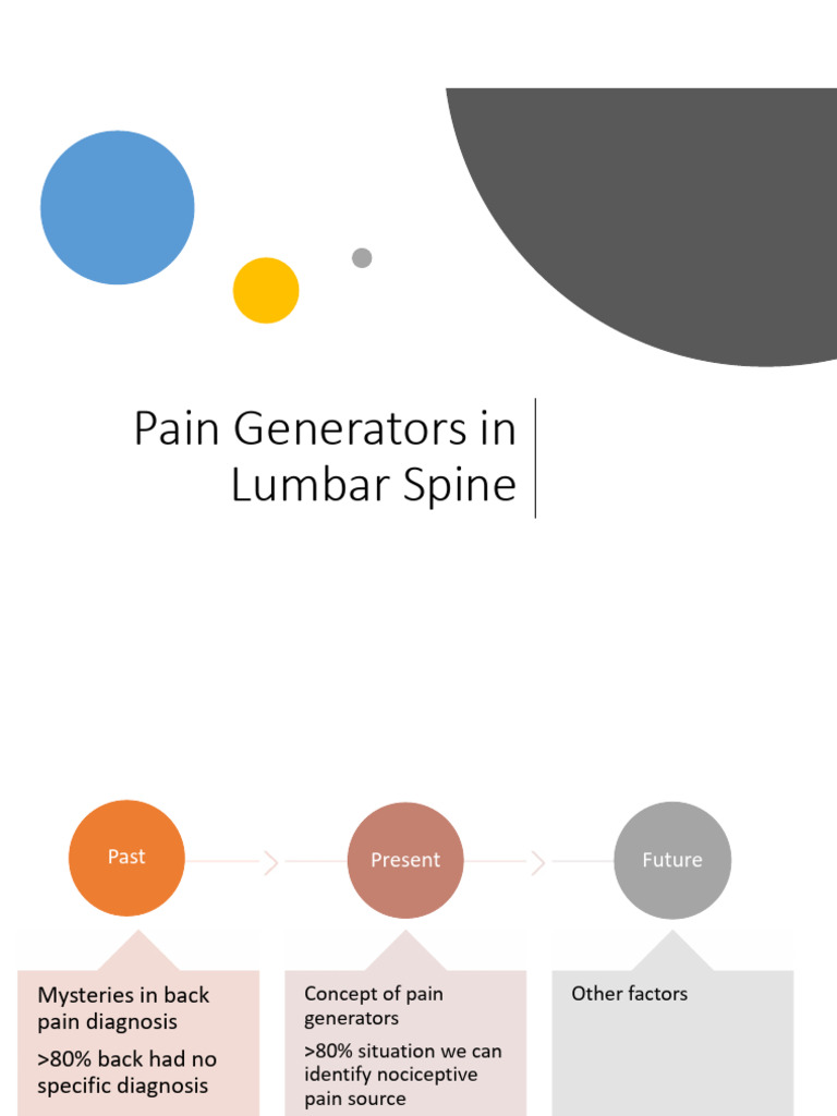 Pain Generators in Lumbar Spine | PDF | Back Pain | Pain