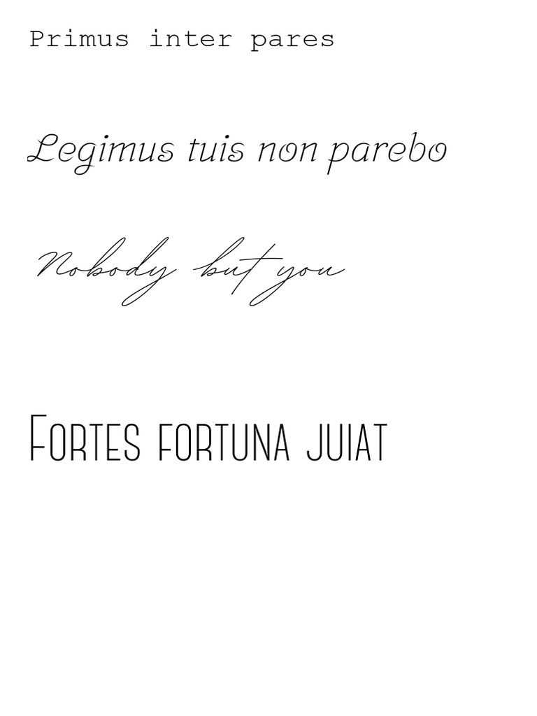 Primus Inter Pares | PDF