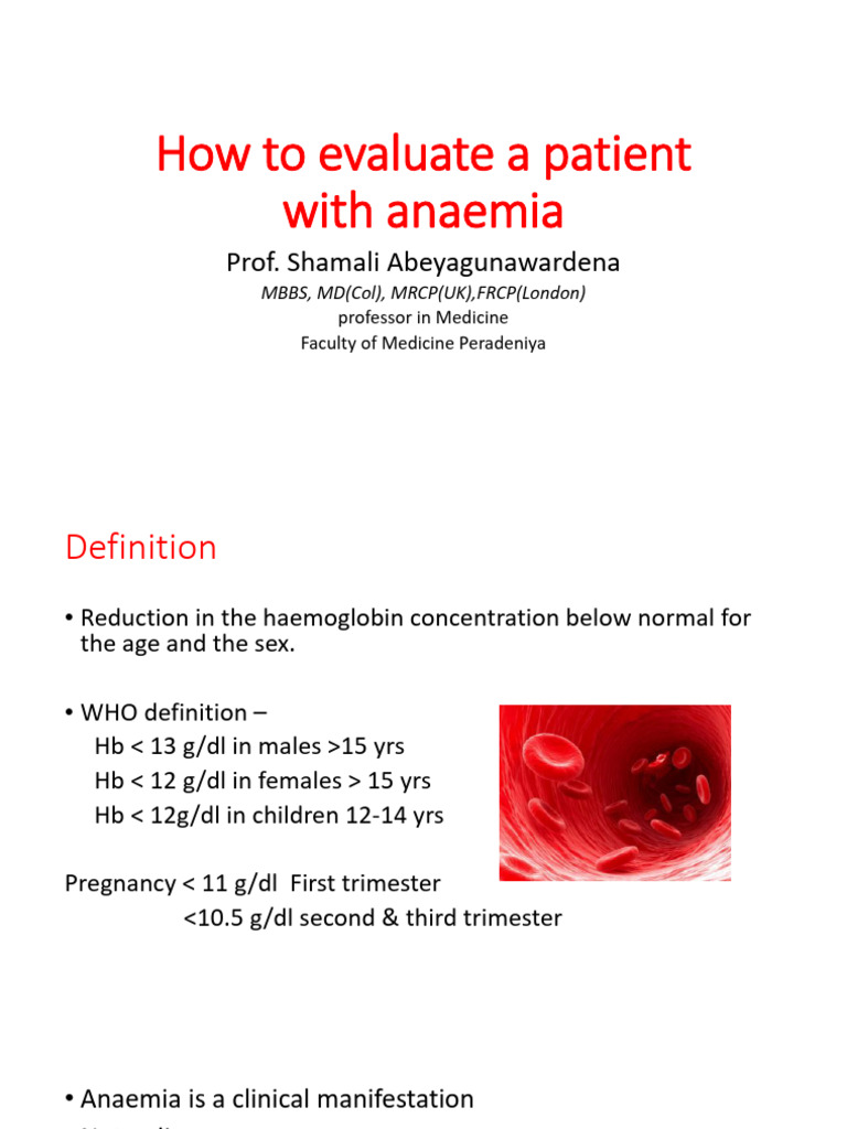 Anaemia.2024 Student copy | PDF | Anemia | Red Blood Cell