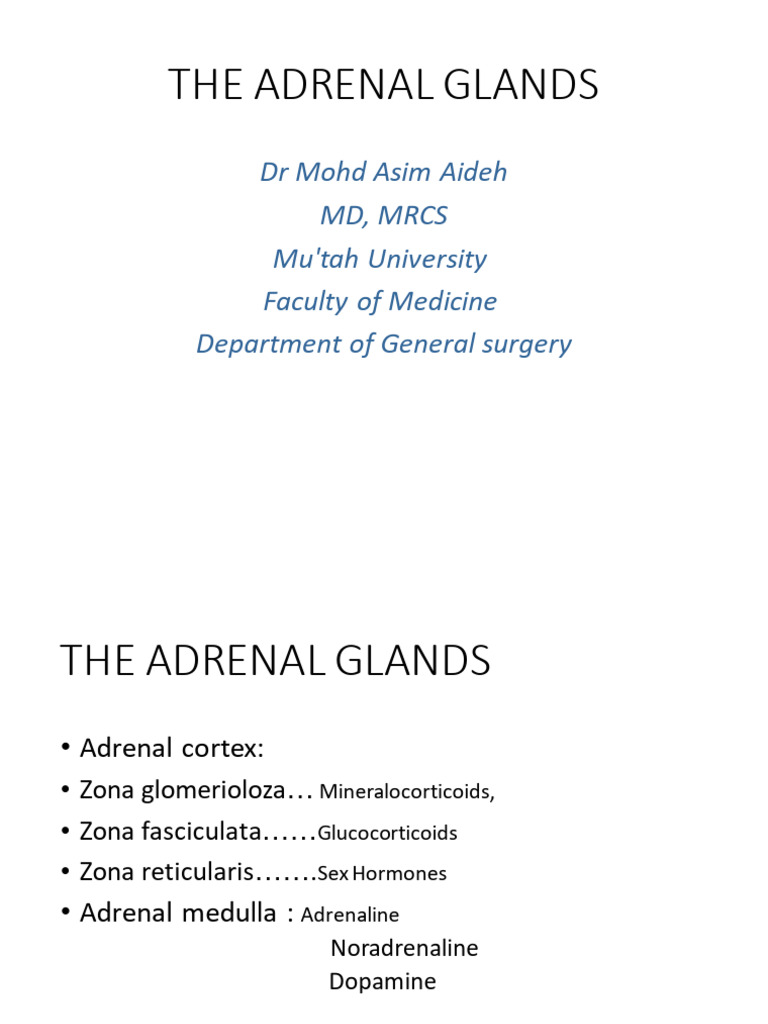 The Adrenal Glands (3) | PDF | Adrenal Gland | Adrenocorticotropic Hormone