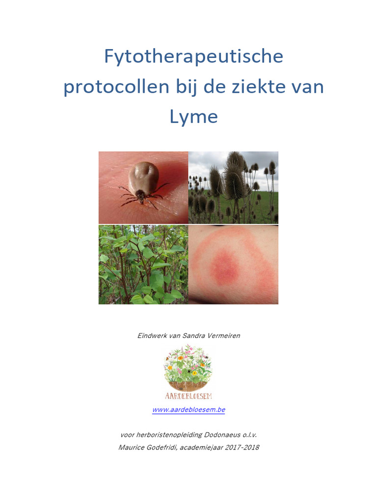 De Ziekte Van Lyme | PDF
