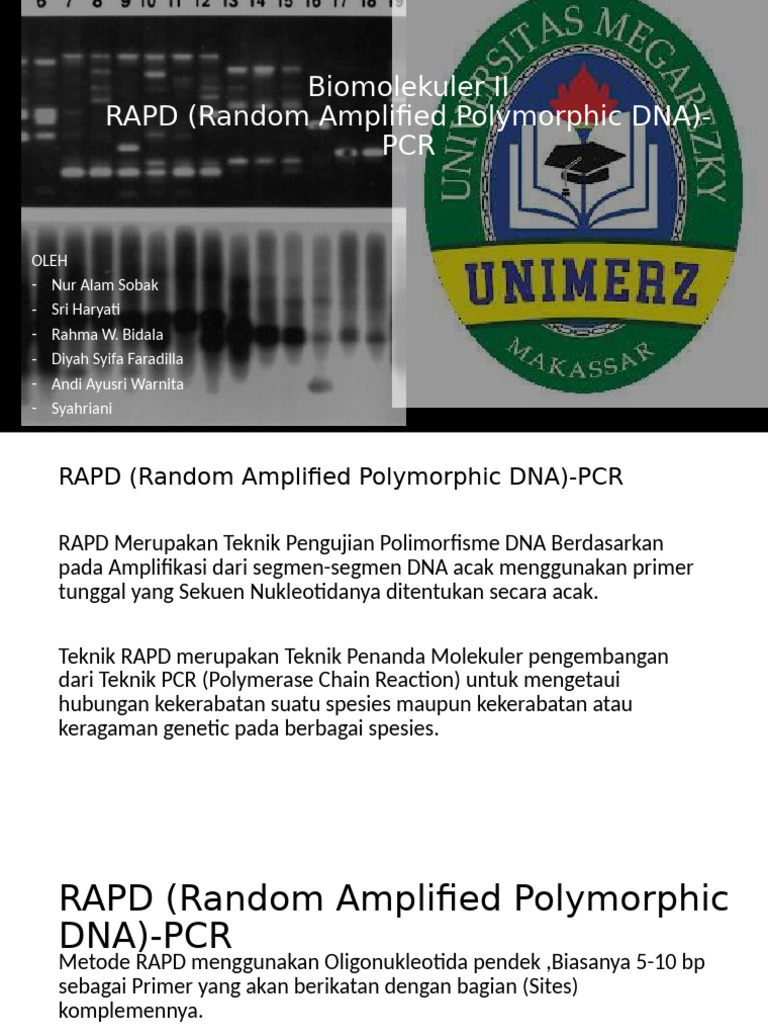 RAPD pcr | PDF