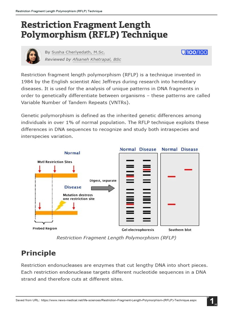 Restriction-Fragment-Length-Polymorphism-(RFLP)-Technique | PDF | Gel Electrophoresis ...