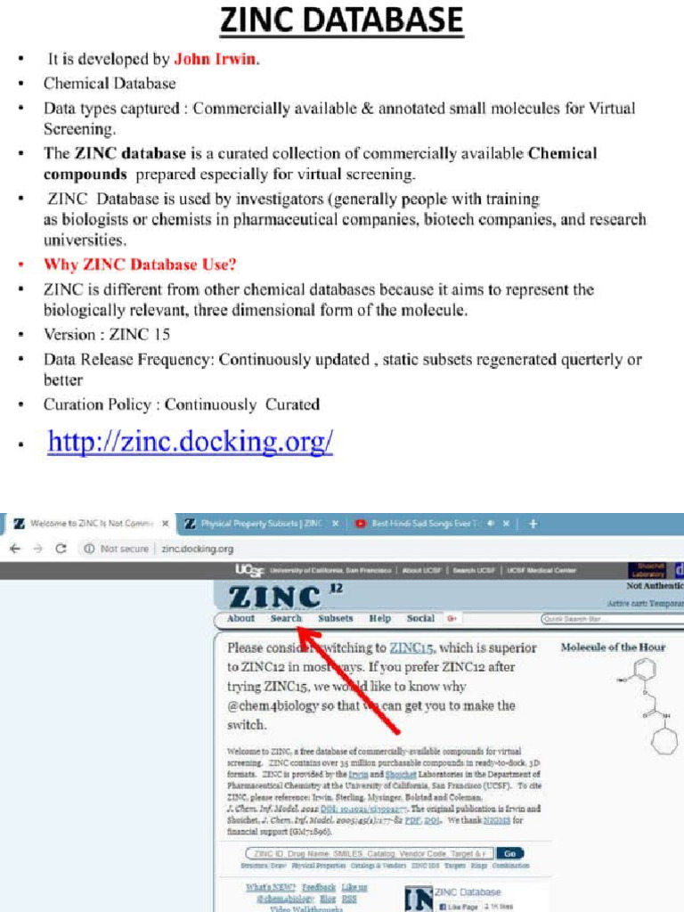 ZINC Database | PDF