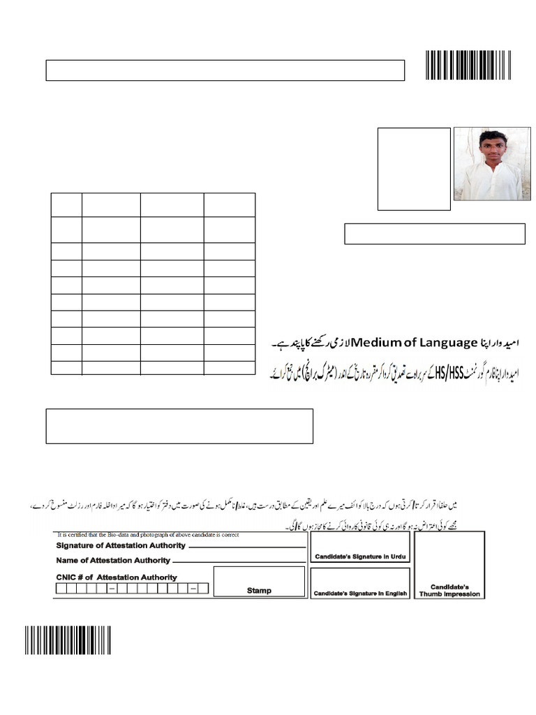 doc | PDF | Educational Stages | Qualifications