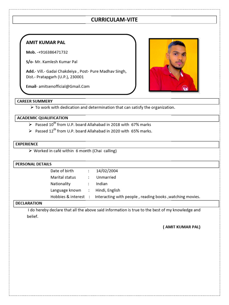Amit Kumar Pal - Resume - Apna | PDF