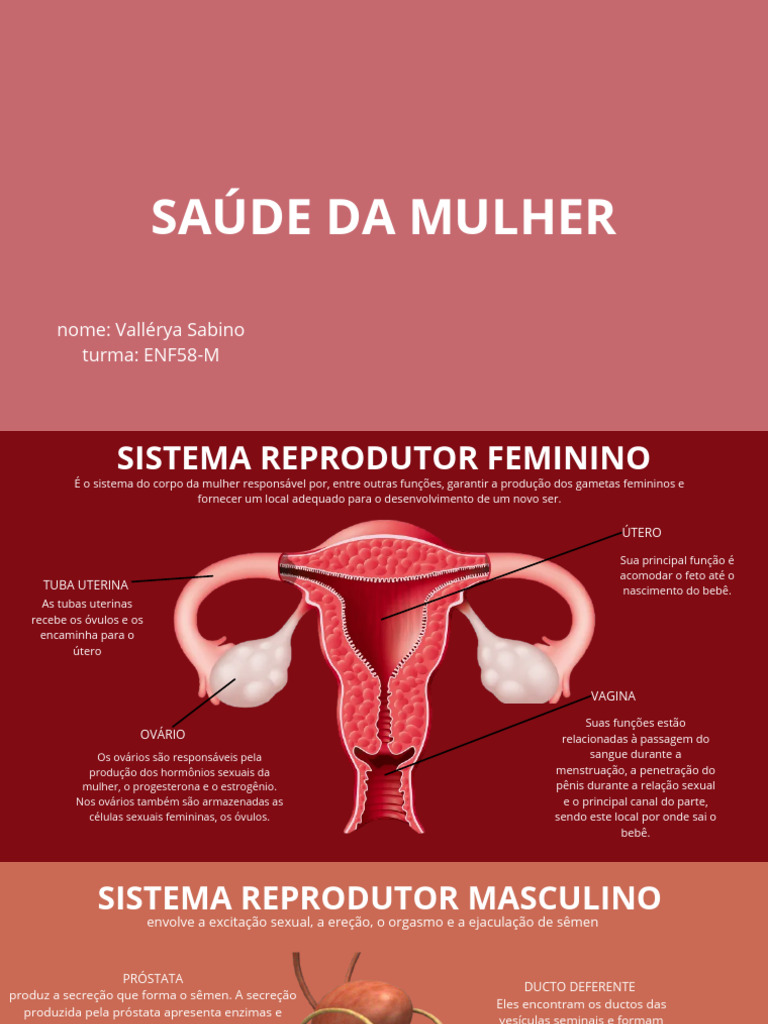 mapa mental - saúde da mulher | PDF | Parto | Hepatite