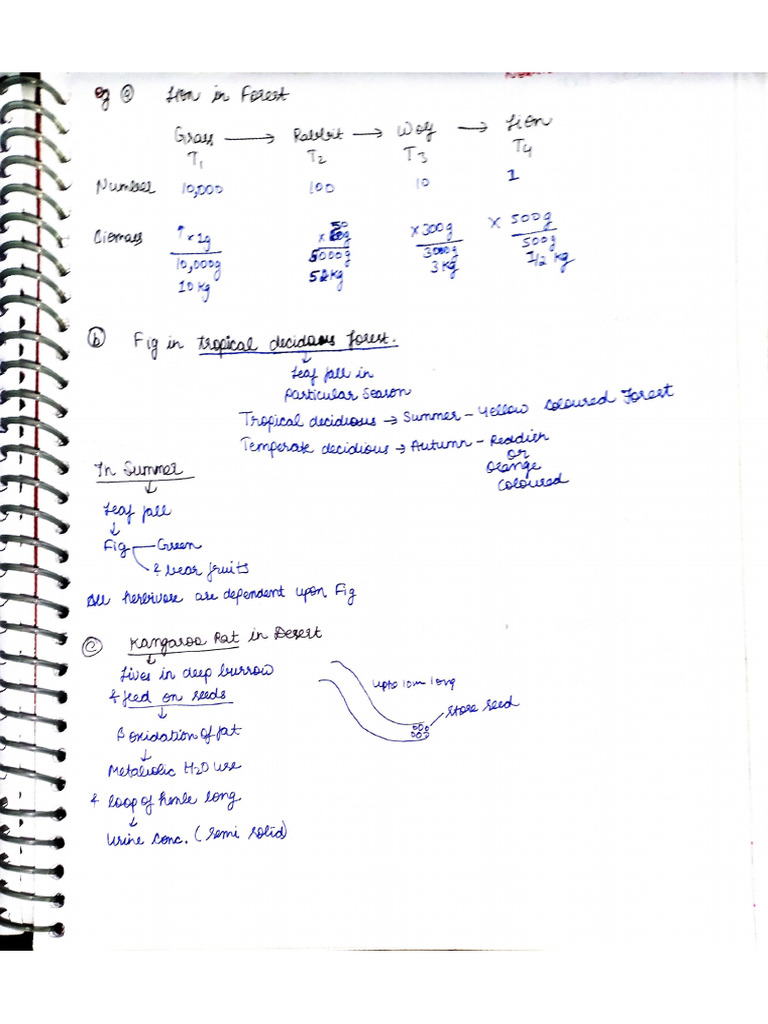 PDFReader 20250125 1801 | PDF