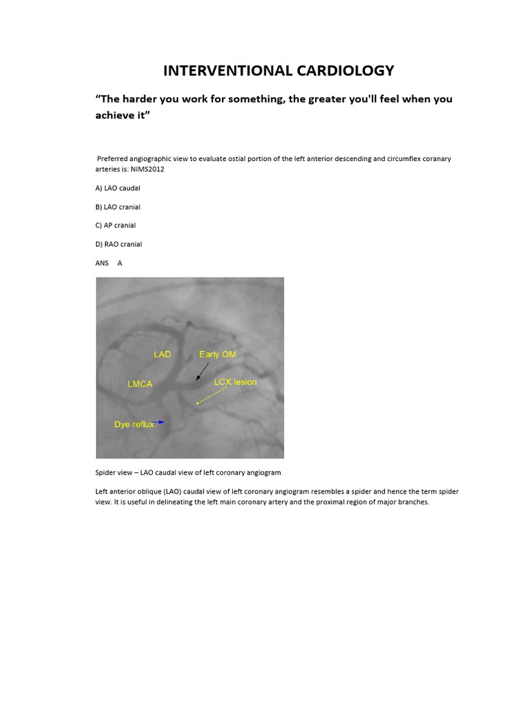 Interventional Cardiology Techniques Overview | PDF | Coronary ...
