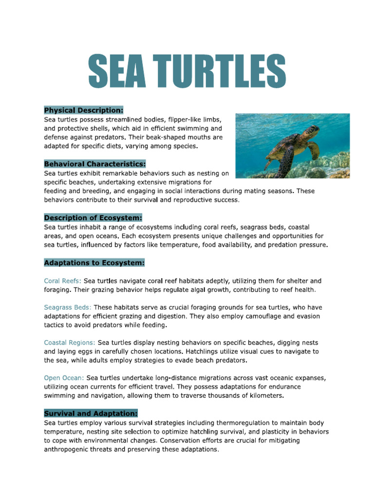 Science Research Task | PDF