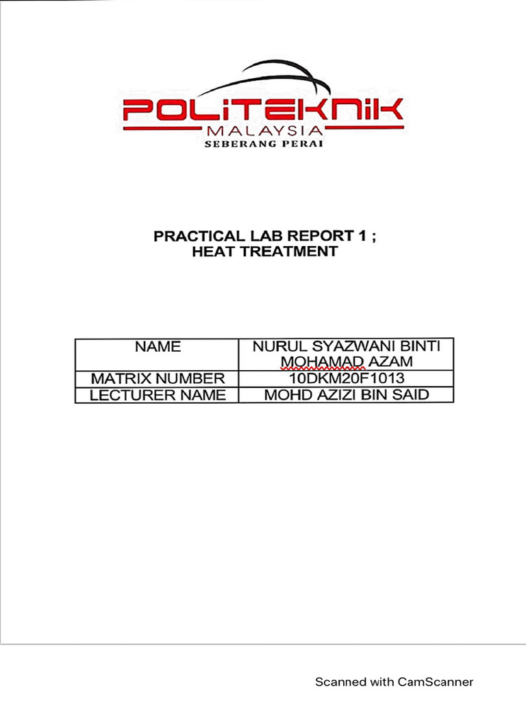 LabReport-10DKM20F1013 | PDF