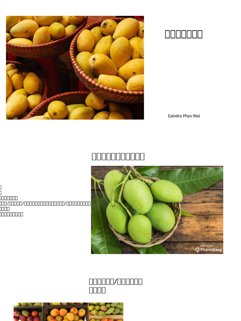 mango lesson plan 1 | PDF