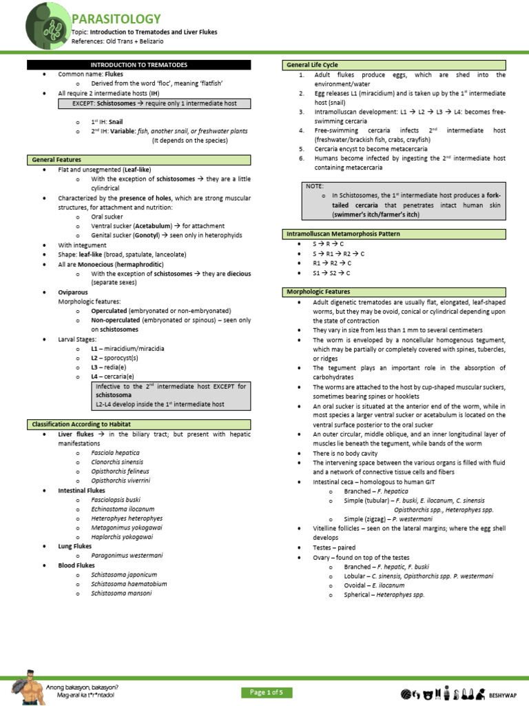 14 Parasitology - Introduction To Trematodes and Liver Flukes | PDF ...