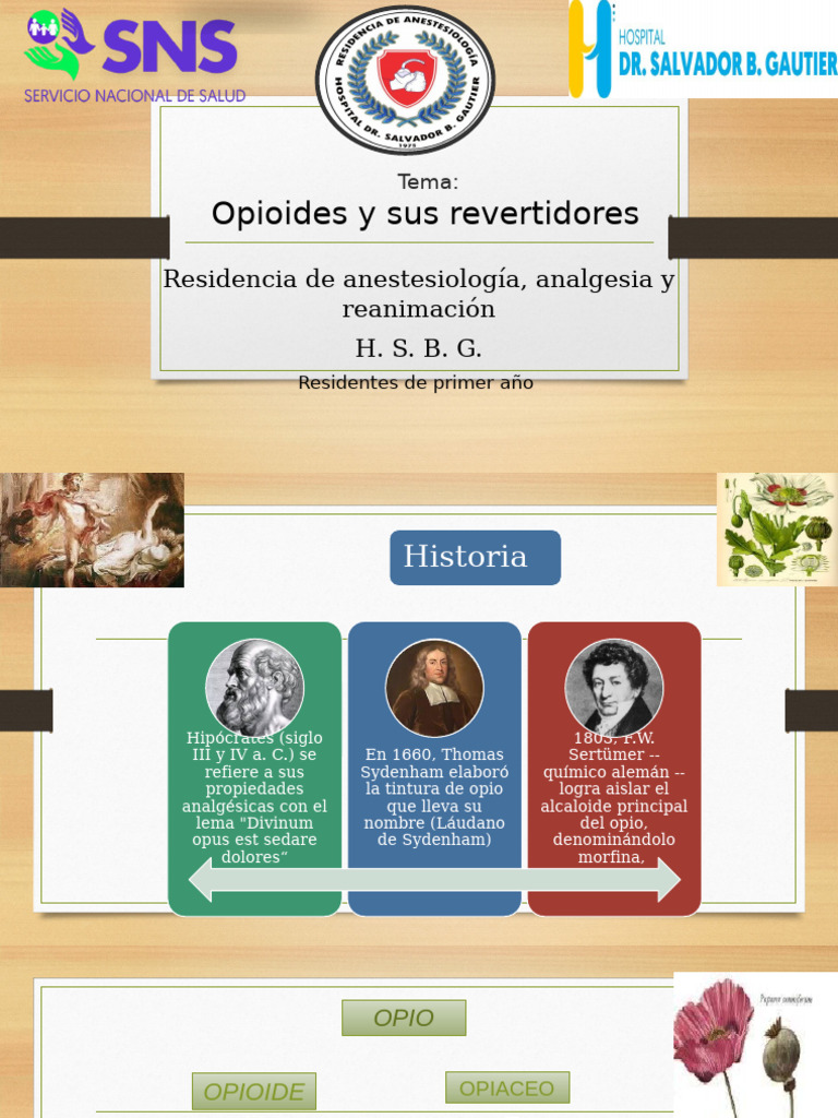 Opioides | PDF | Opioide | Analgésico