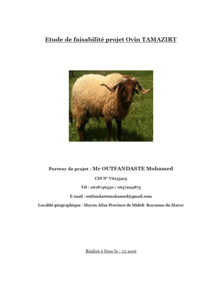 Faisabilité projet élevage ovin au Maroc | PDF | Mouton | Nourritures